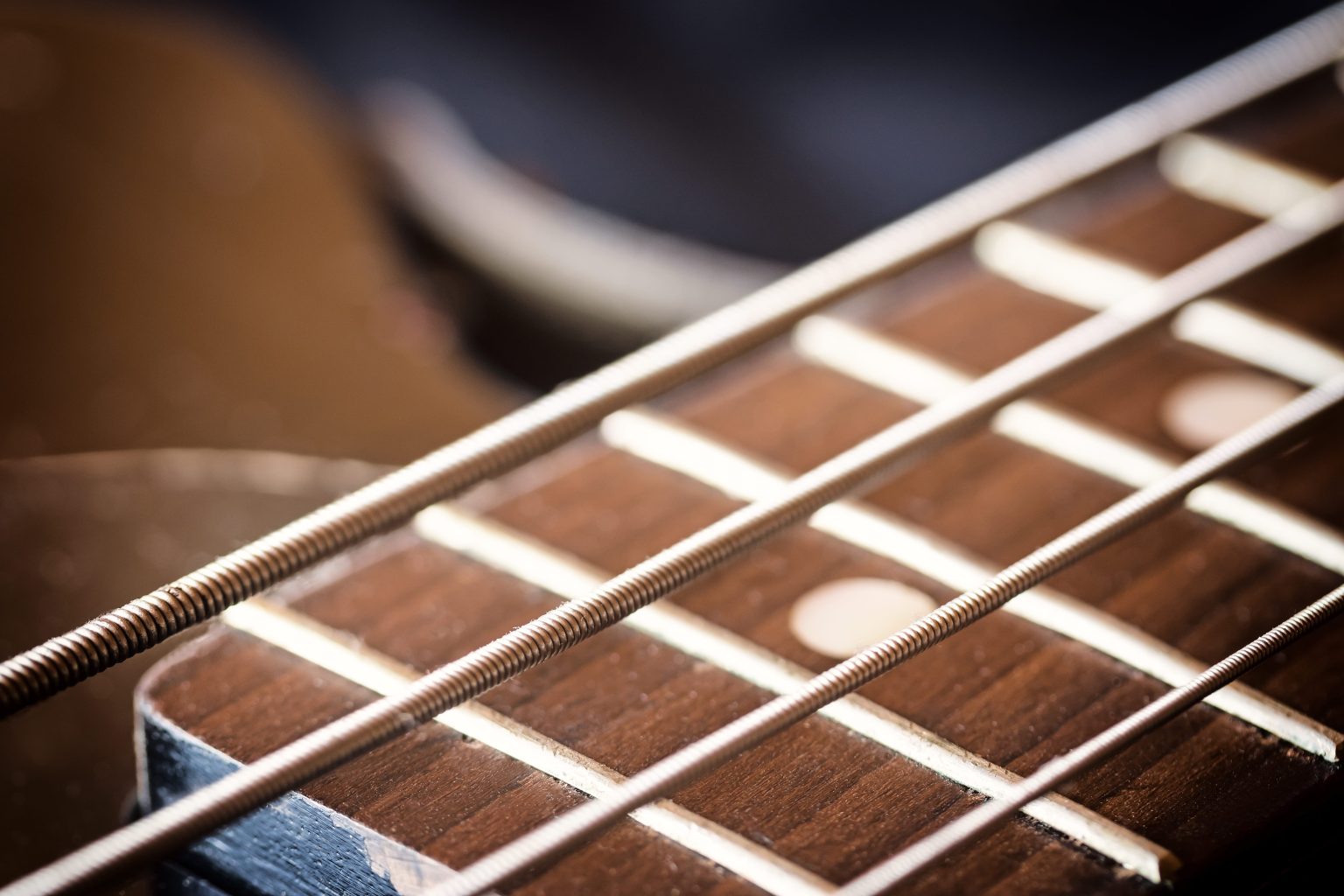 How to Fix Fret Buzz on Bass Guitar